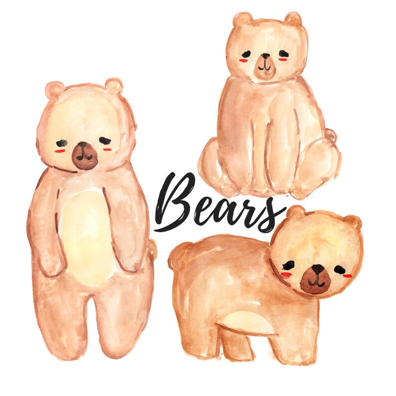 Watercolor Clipart Bear Graphics Animal Illustration - Etsy