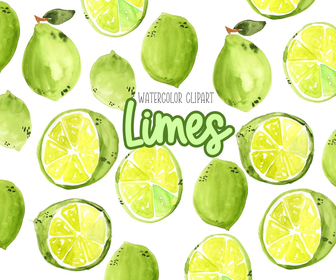 Fruit Watercolor Clipart - Lime Citrus Lemon Digital Sticker Commercial ...