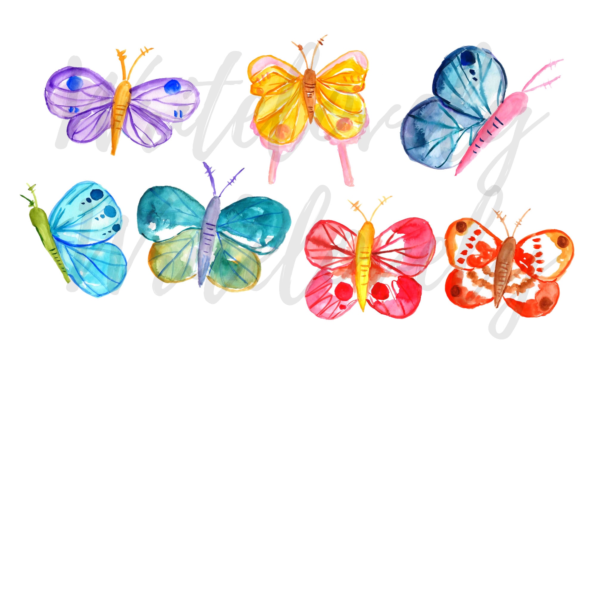 Watercolor Butterfly Clip Art Animal Insect Bug Graphics PNG - Etsy
