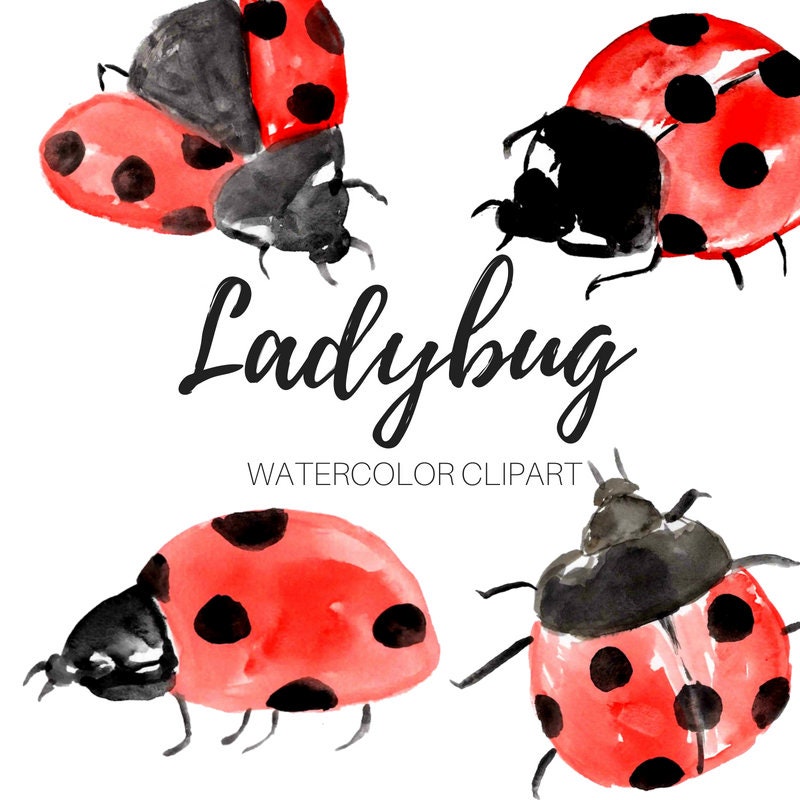 Lady Bug Clip Art - Etsy