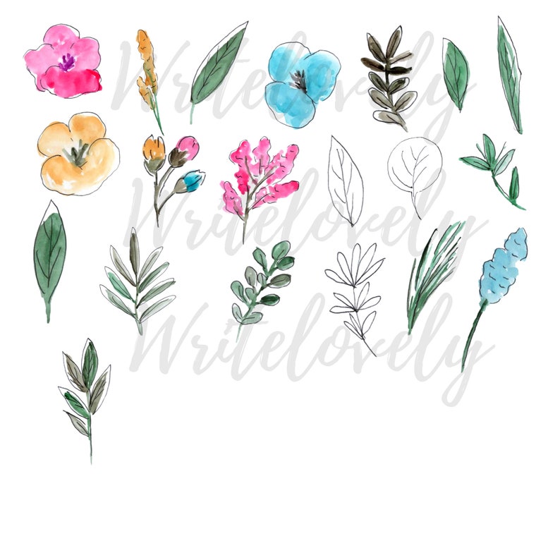 Watercolor Doodle Flower Clip Art Floral Clipart Doodle - Etsy