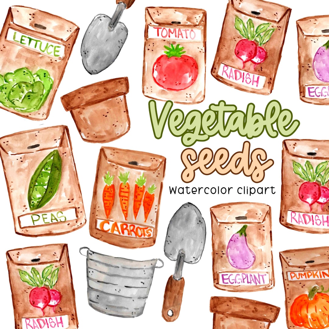 Watercolor Gardening, Vegetable Seed Packet Clipart, Farming Gardening ...