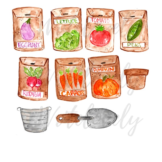 Vintage Farm Vegetable Seed Packet Illustrations Color Clipart Etsy
