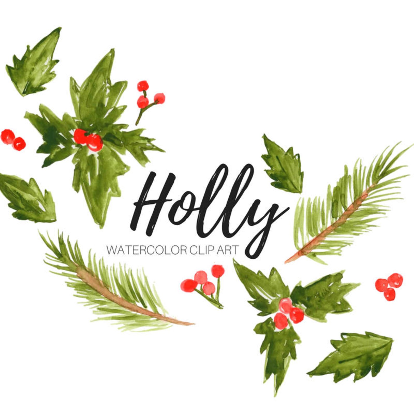 Holly Christmas Clipart Floral Watercolor Graphics | Etsy