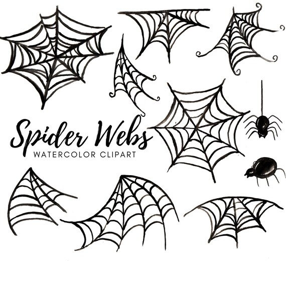 Halloween Clip Art Watercolor Spider Web Cob Web Spiders - Etsy