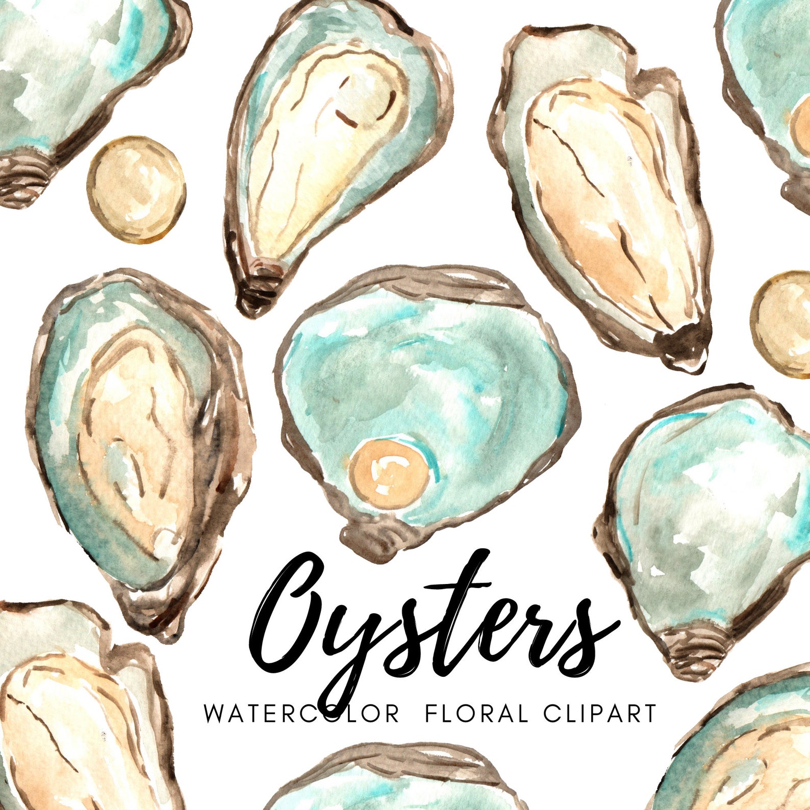 Watercolor Clipart Oyster Clipart Summer Clip Art - Etsy