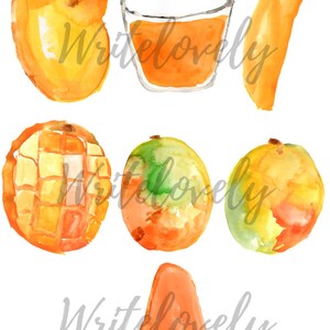 Watercolor Clipart Fruit Graphics Mango Illustration Food Digital ...
