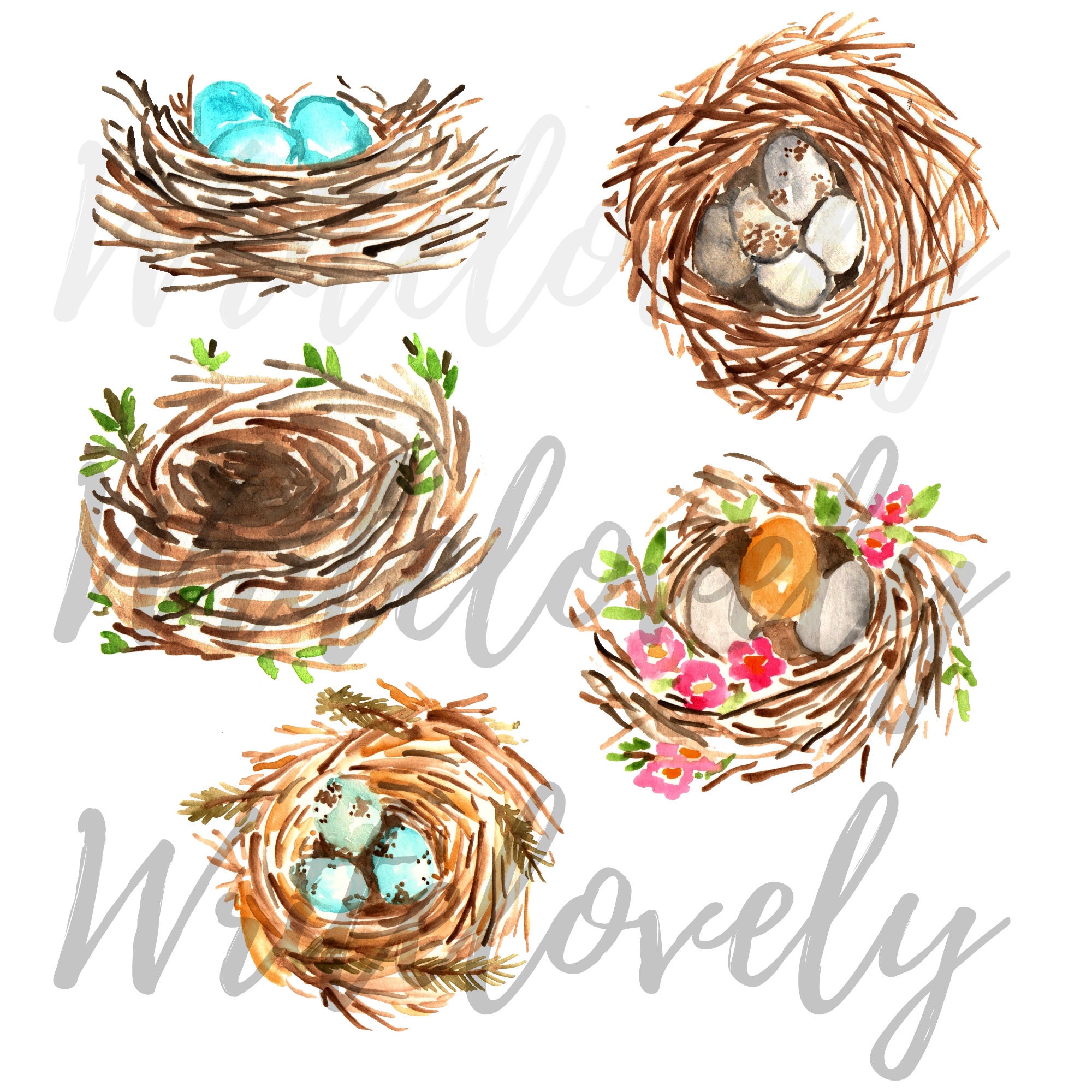 Nest Egg Clip Art