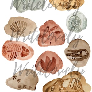 Watercolor Fossil Clipart -dinosaur Graphics - Animal Illustration ...