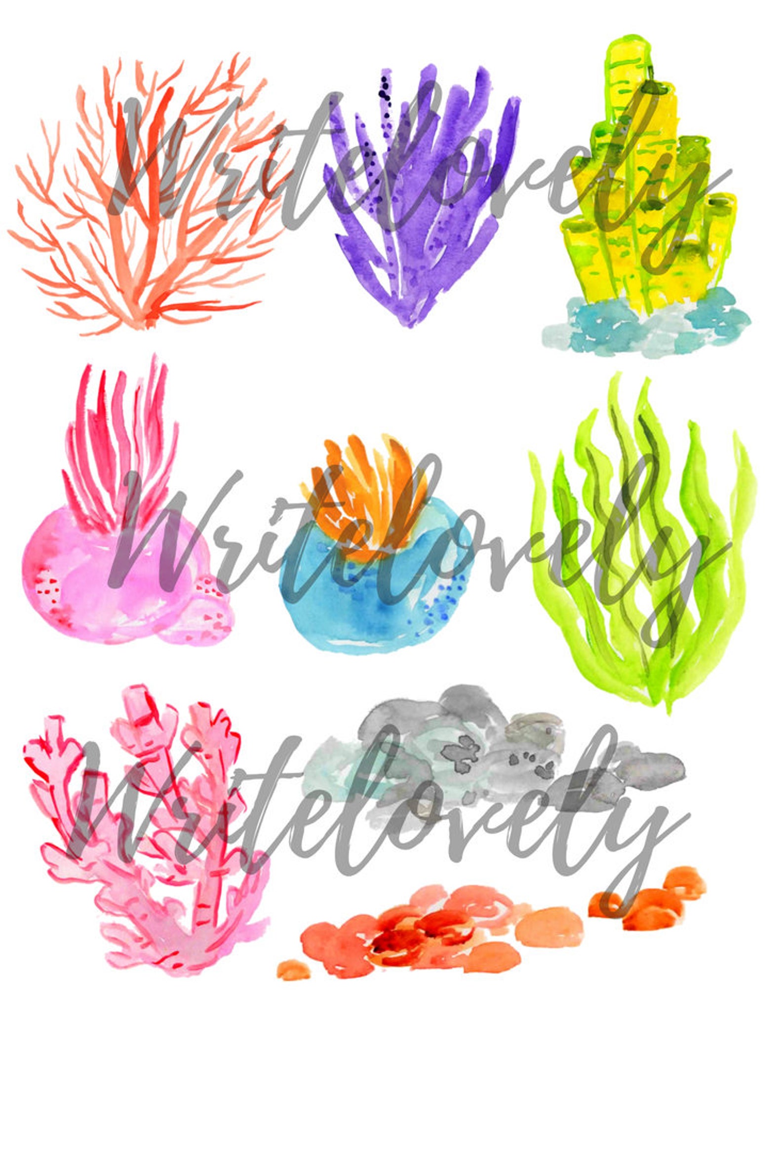 Coral Clipart Sea Clipart summer clipart sealife clipart | Etsy
