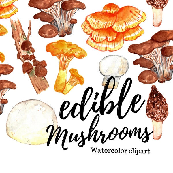 Watercolor Mushroom - Etsy