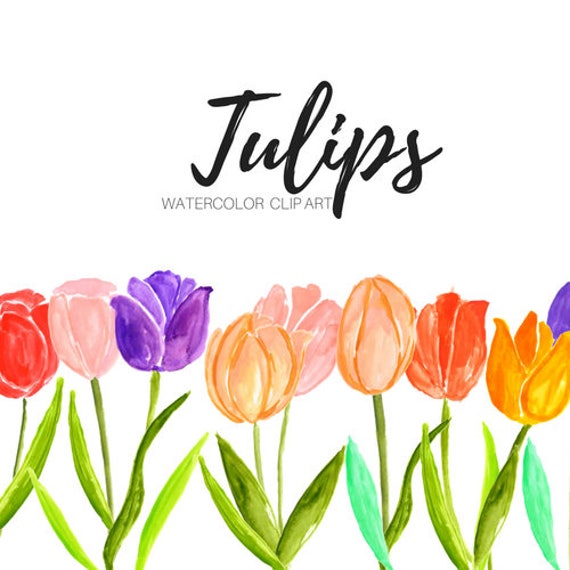 Spring Tulips Clipart