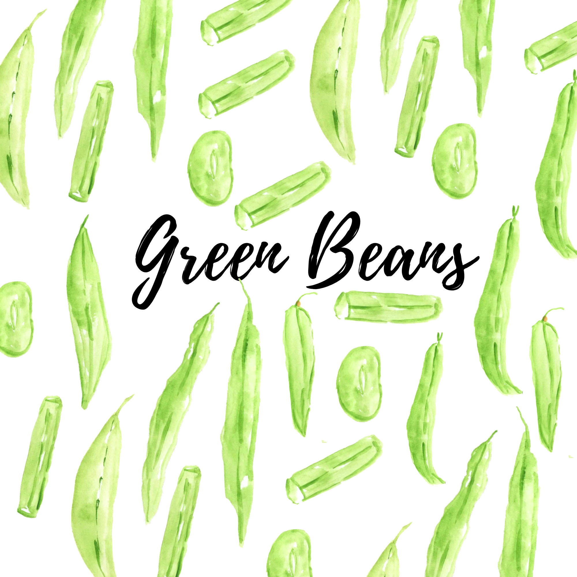 Single Green Bean Clip Art