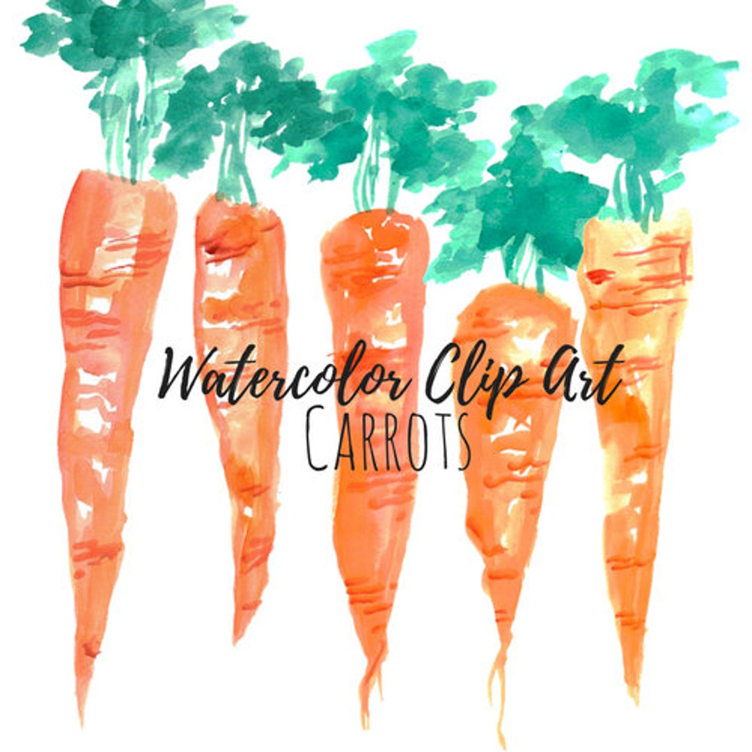 Easter Clipart - Watercolor Vegetable Carrot Graphics - Instant ...