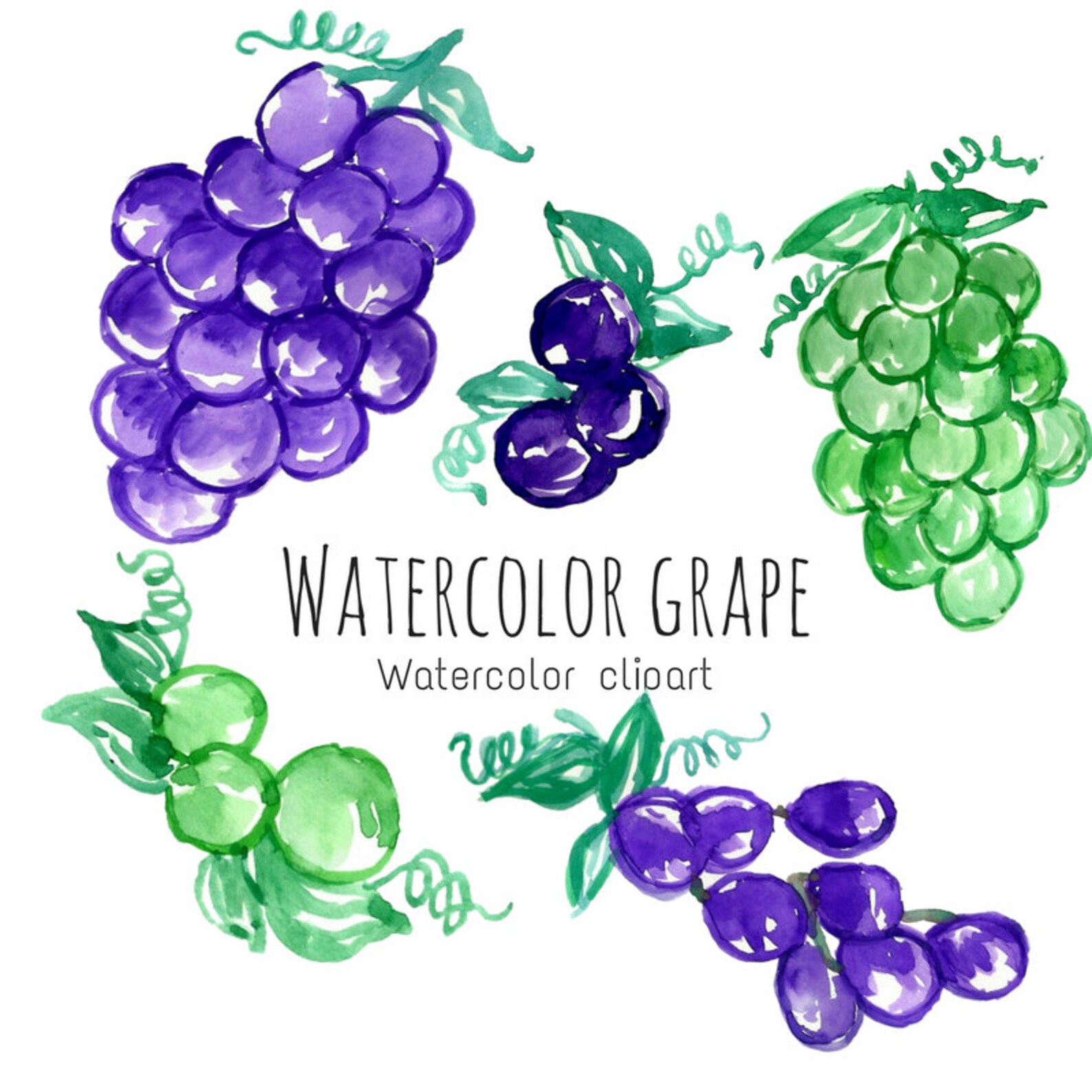Grape Clip Art Watercolor Fruit Watercolor Art Hand - Etsy