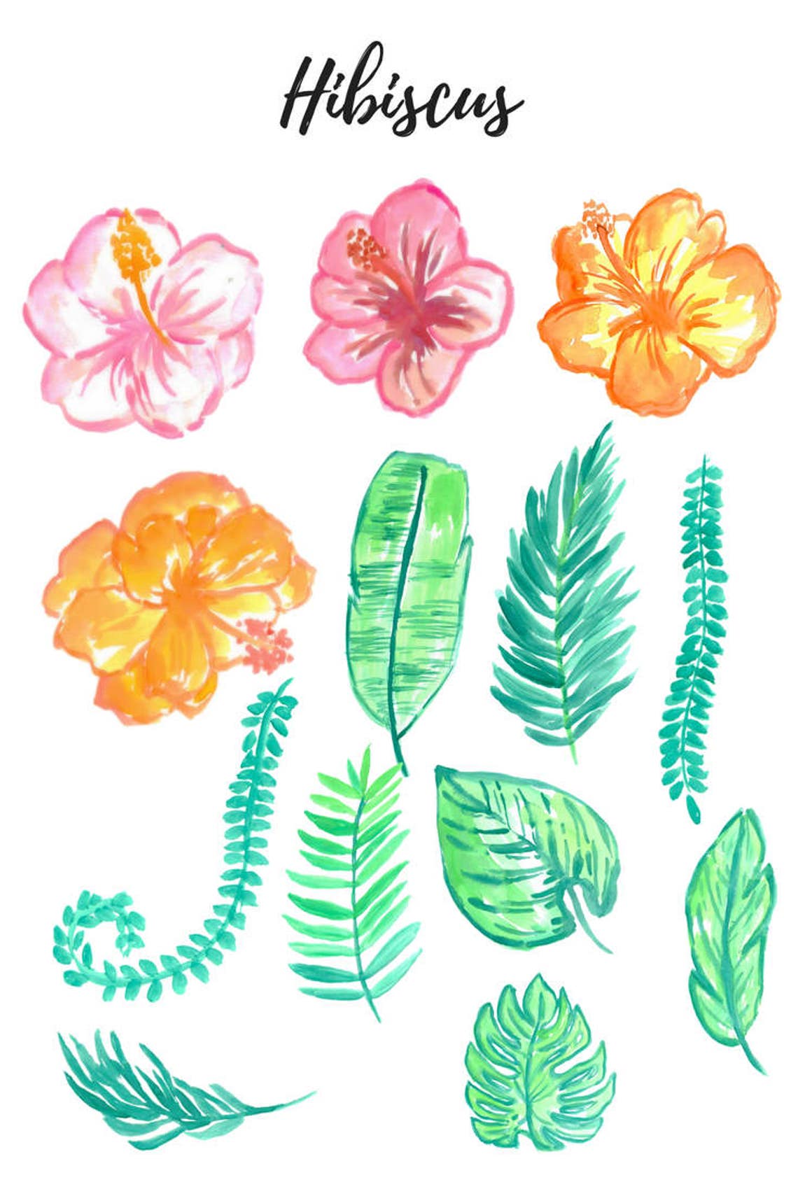 Hibiscus Clip Art Watercolor Clip Art Tropical Clip Art | Etsy