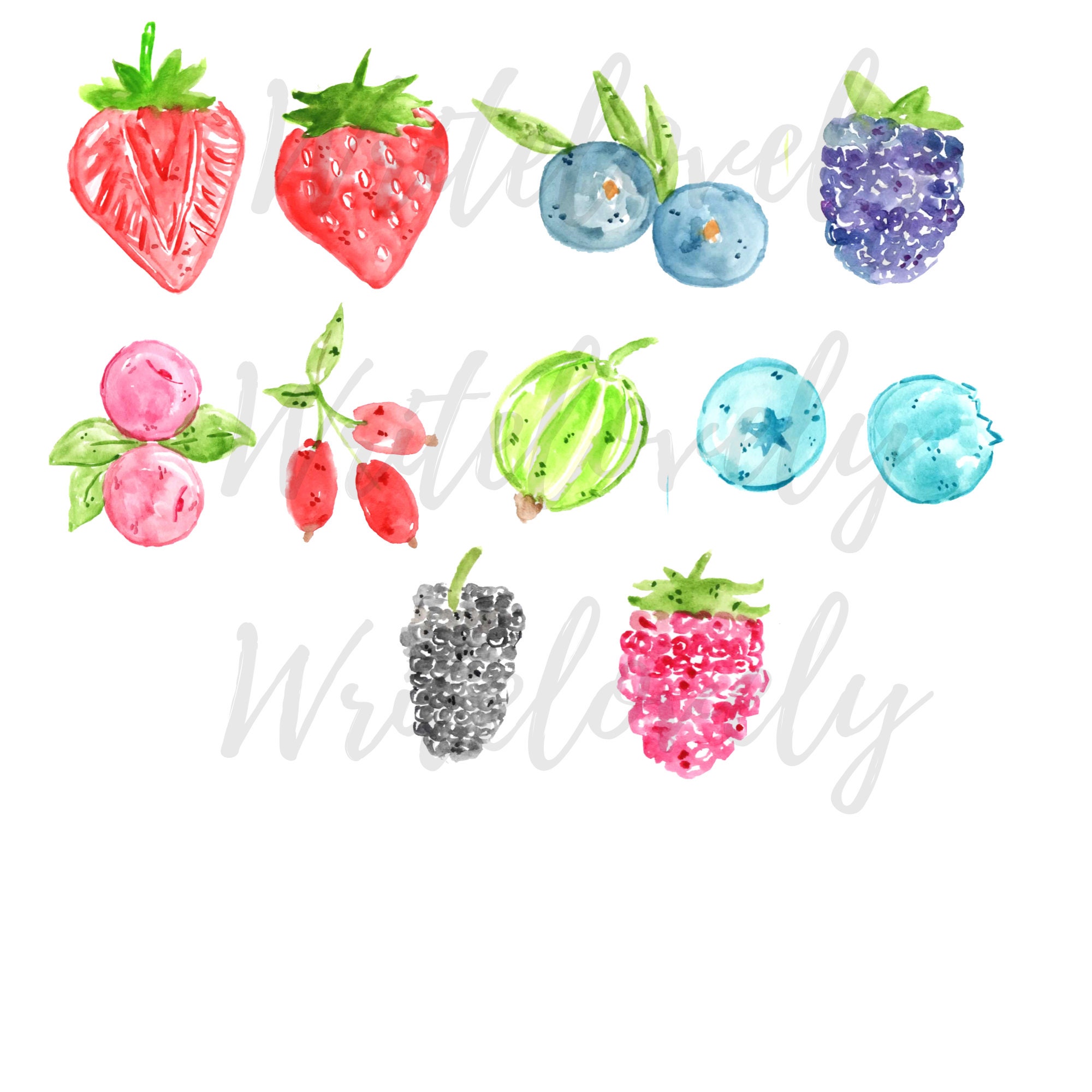 Fruit Clip Art Watercolor Clip Art Food Berries - Etsy