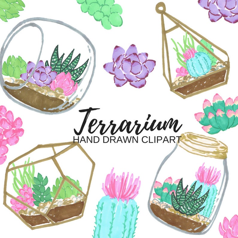 Terrarium Clip Art Succulent Graphics Floral Planting - Etsy