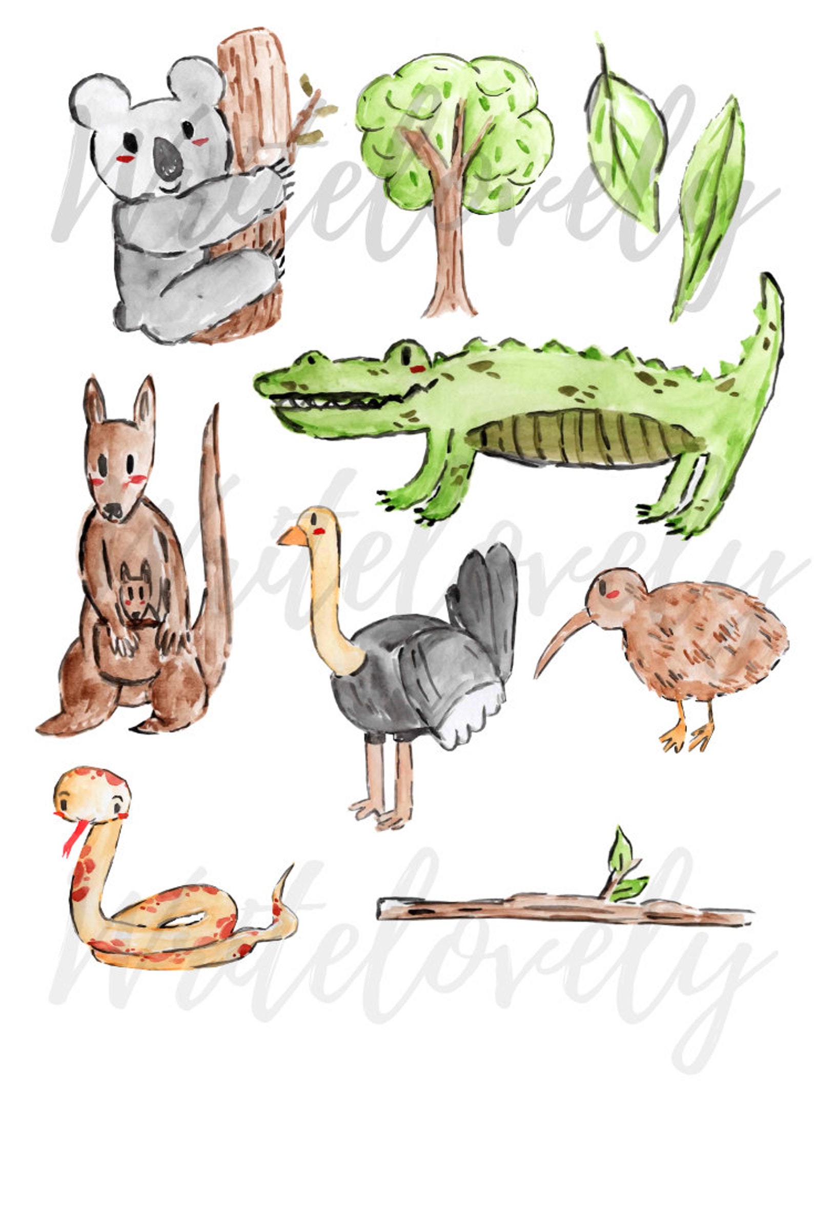 Wild Animal Safari Outback Clip Art Koala Crocodile | Etsy