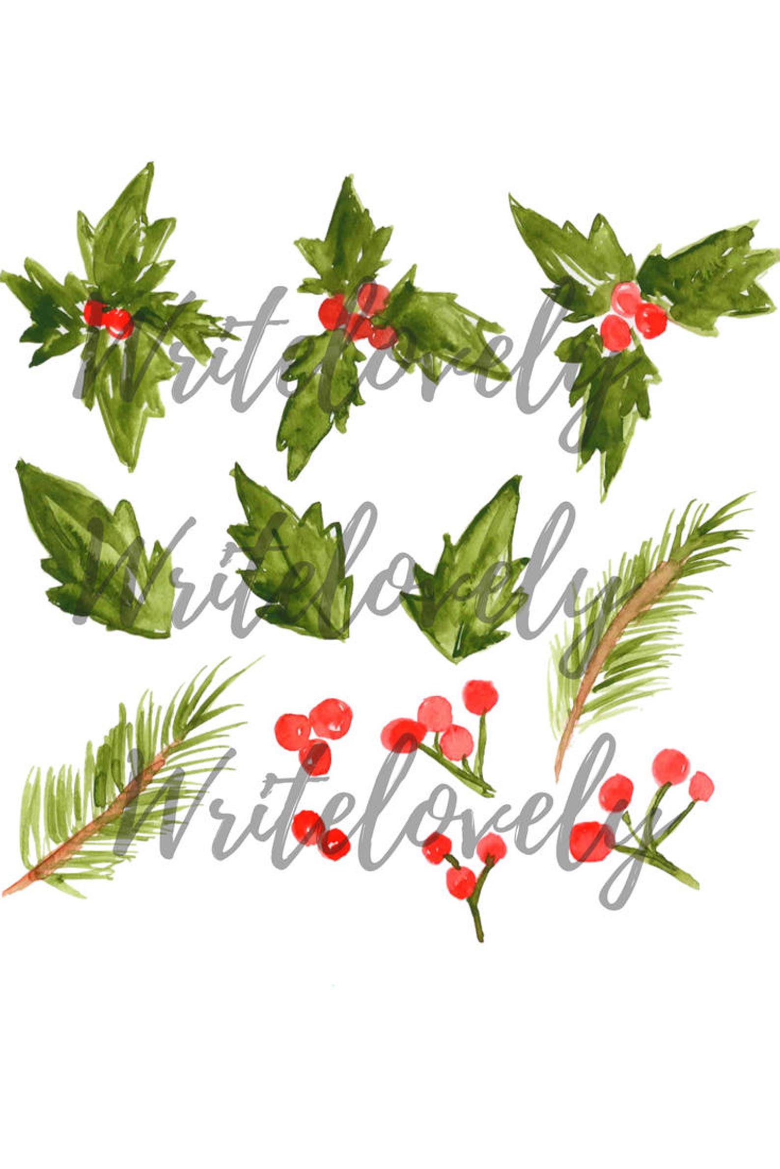 Holly Christmas Clipart Floral Watercolor Graphics | Etsy