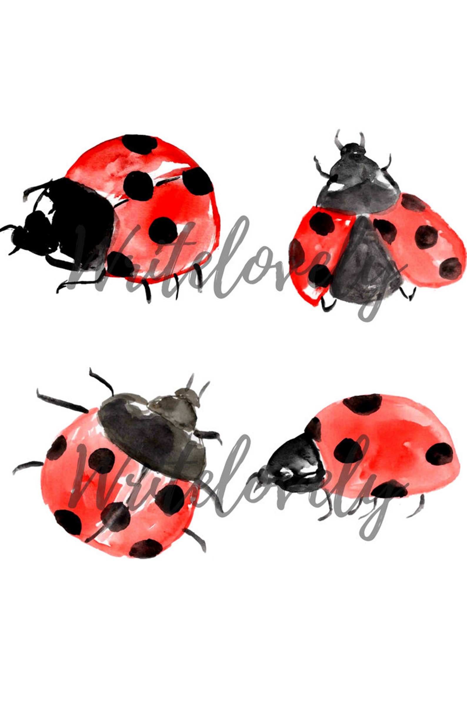 Lady Bug Clipart Watercolor Clipart Bug Clipart Insect | Etsy