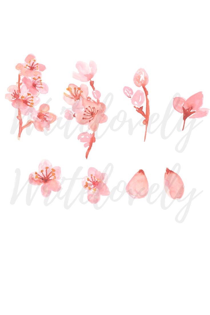 Watercolor Floral Clipart Cherry Blossom Clipart Japanese - Etsy