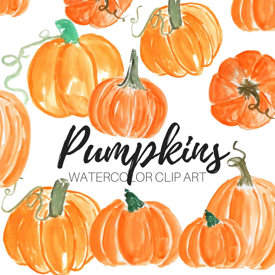 Fall Clipart Watercolor Pumpkin Harvest Farmhalloween - Etsy