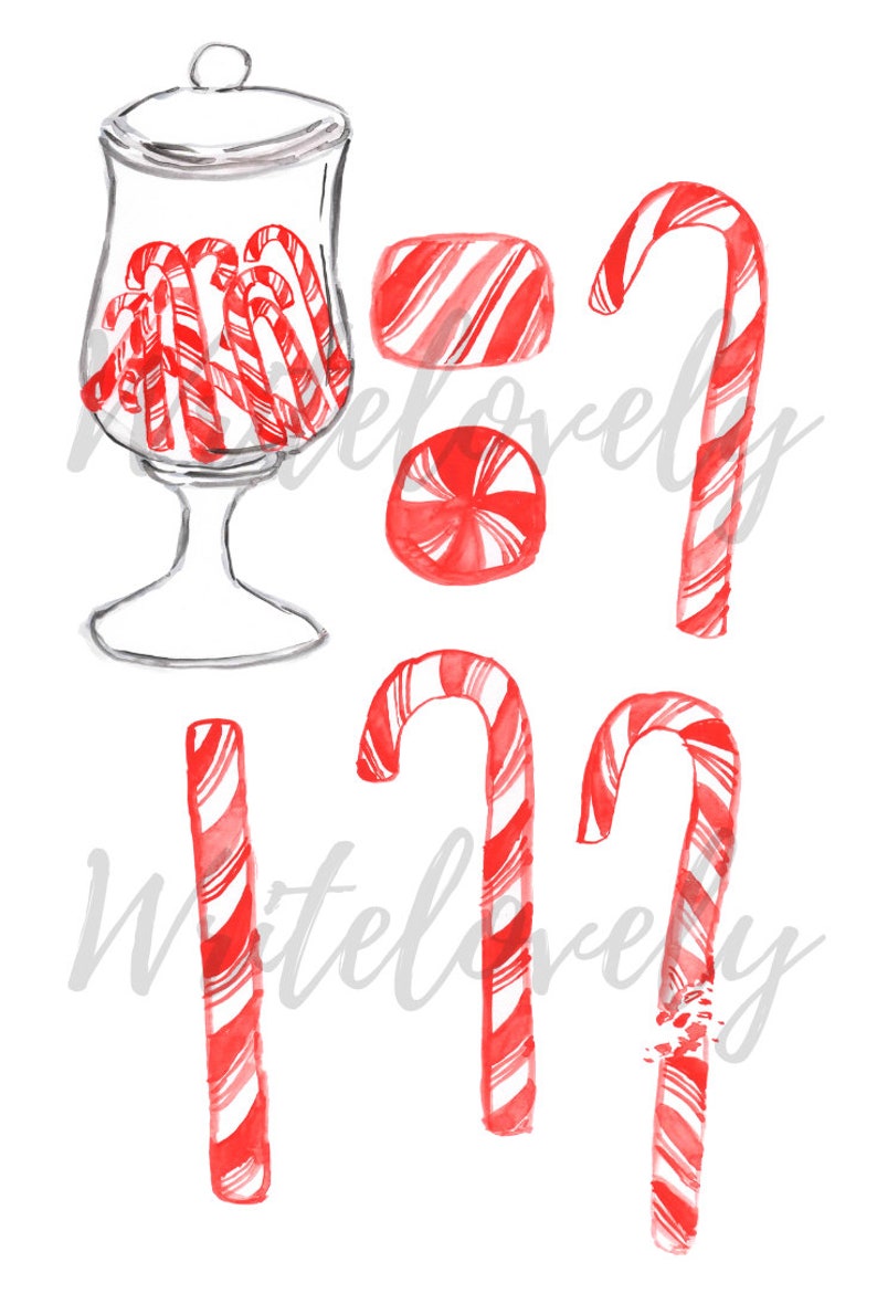 Watercolor Candy Cane Clipart, Peppermint Png Christmas Clipart Holiday ...