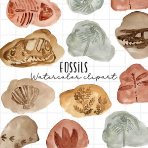 Watercolor Fossil Clipart -dinosaur Graphics - Animal Illustration ...