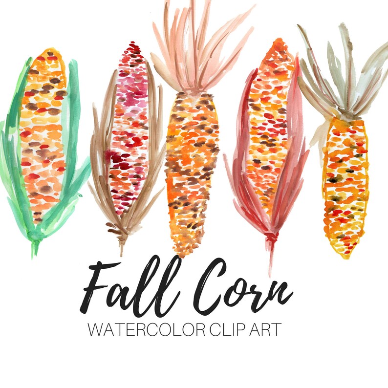 Watercolor Clip Art Fall Clip Art Autumn Clip Art Corn - Etsy