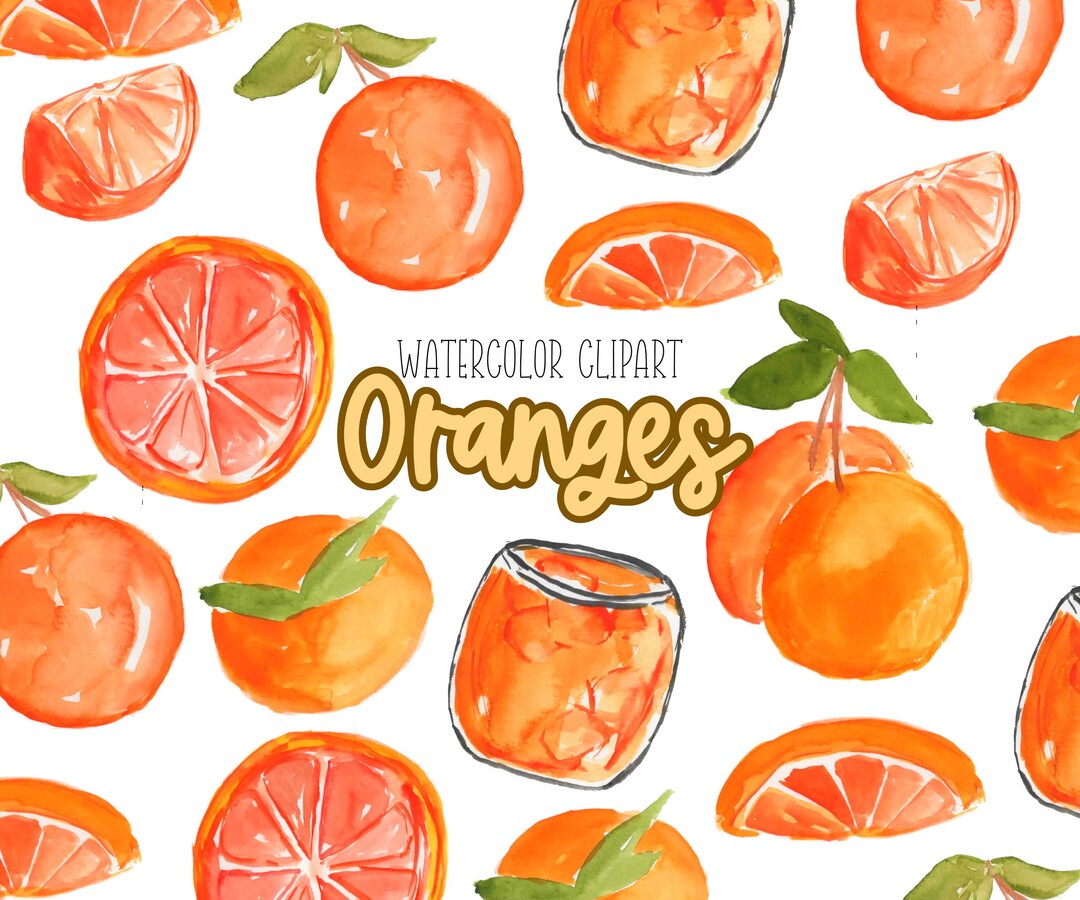 Watercolor Oranges - Orange Clipart - Fruit Clipart - Citrus Clipart ...