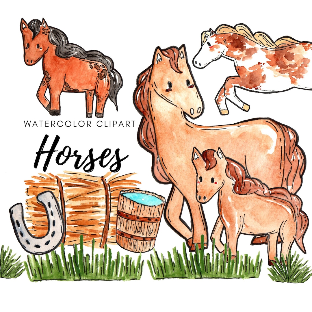Watercolor Horse Clipart, Baby Horse Farm Animal Graphics Horsing ...