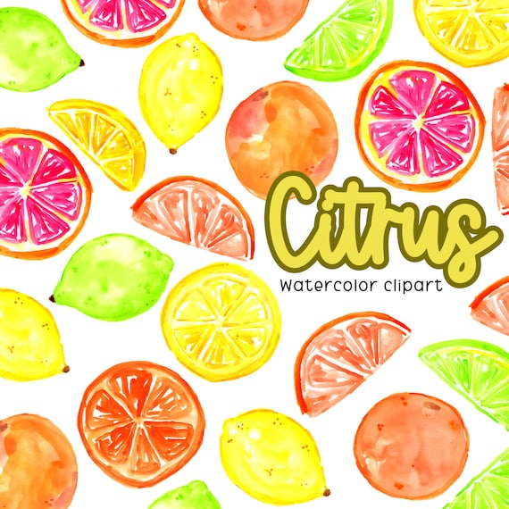 Yellow Grapefruit Clipart