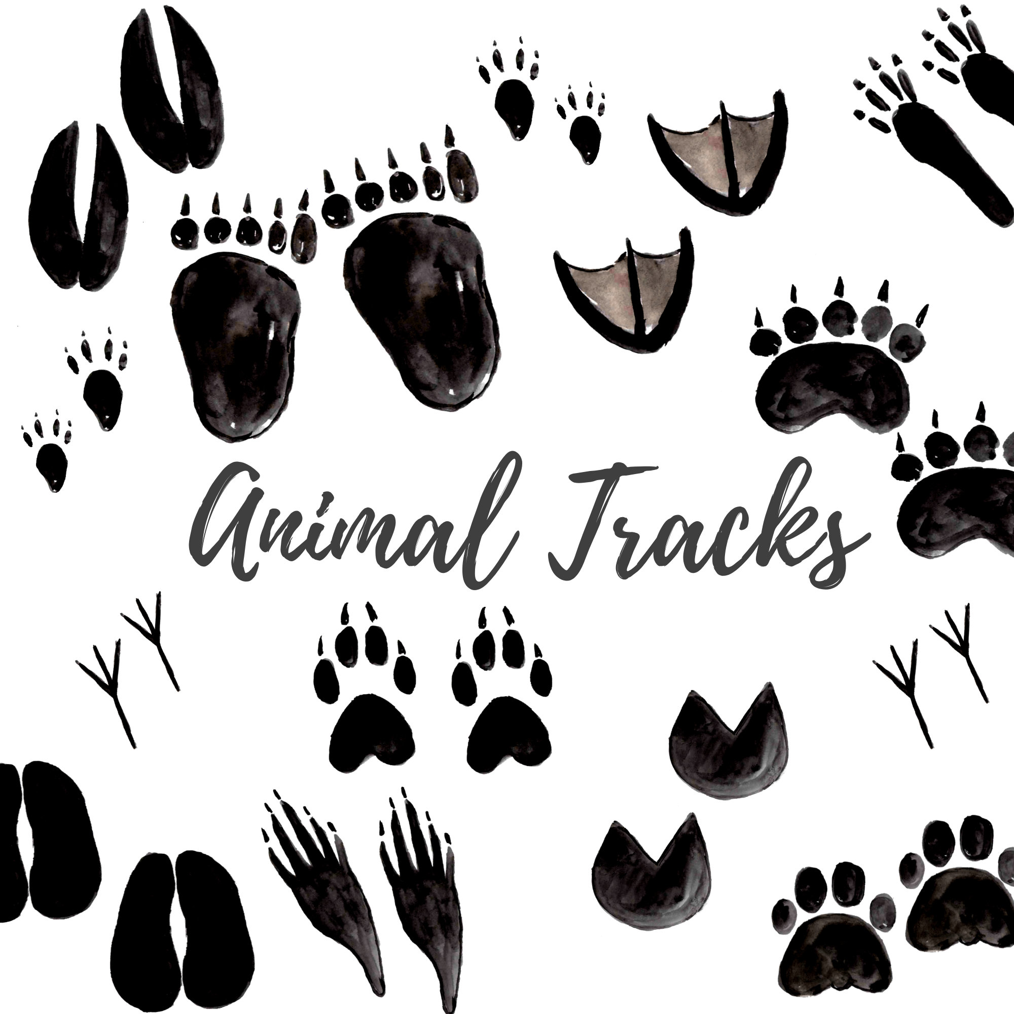 Animal Track Animal Print Clip Art Watercolor Clip Art - Etsy