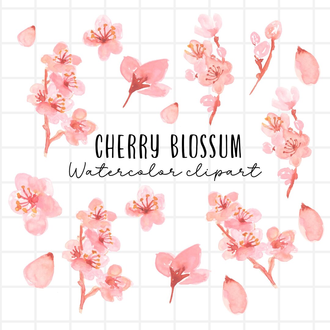 Watercolor Floral Clipart - Cherry Blossom Clipart - Japanese Flower ...