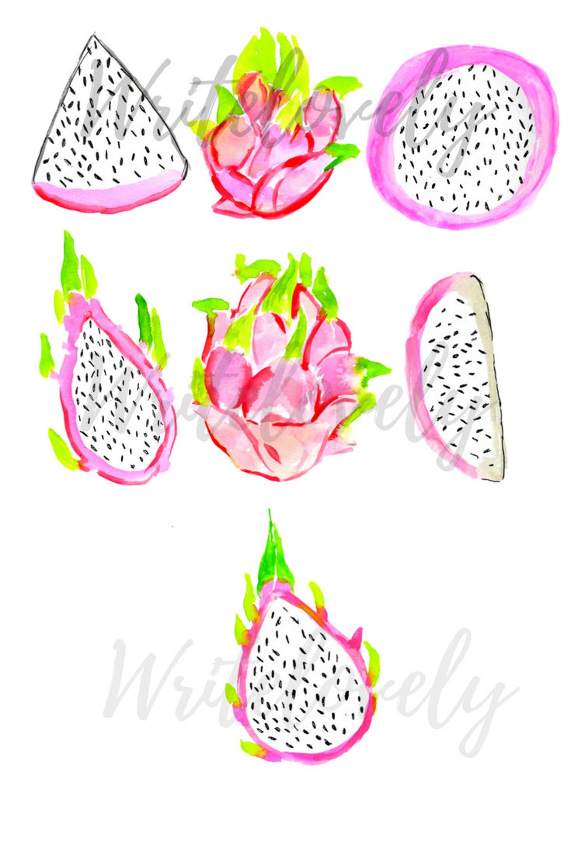 Fruit Clipart Watercolor Cliprt Dragon Fruit Clipart | Etsy