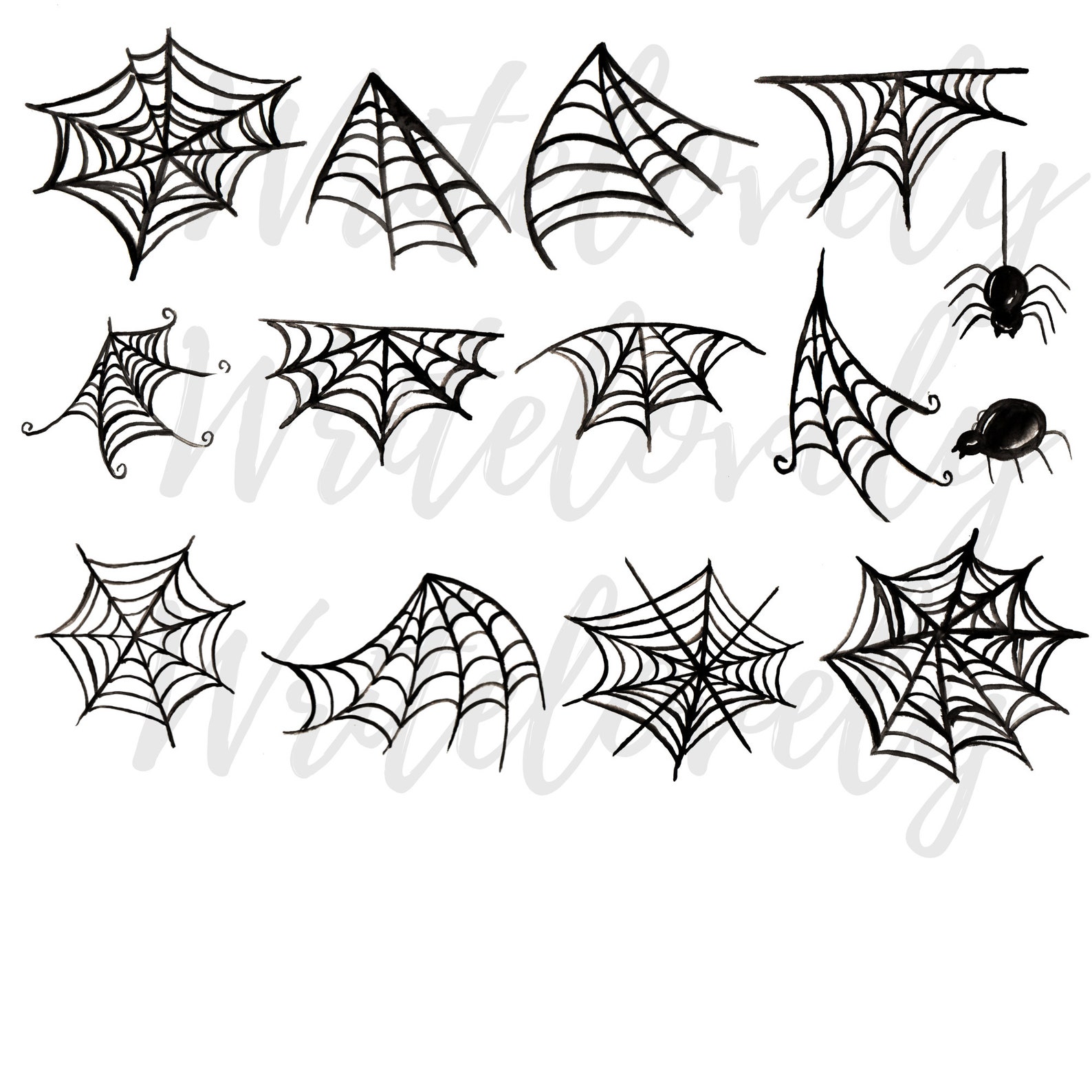 Halloween Clip Art Watercolor Spider Web Cob Web Spiders - Etsy