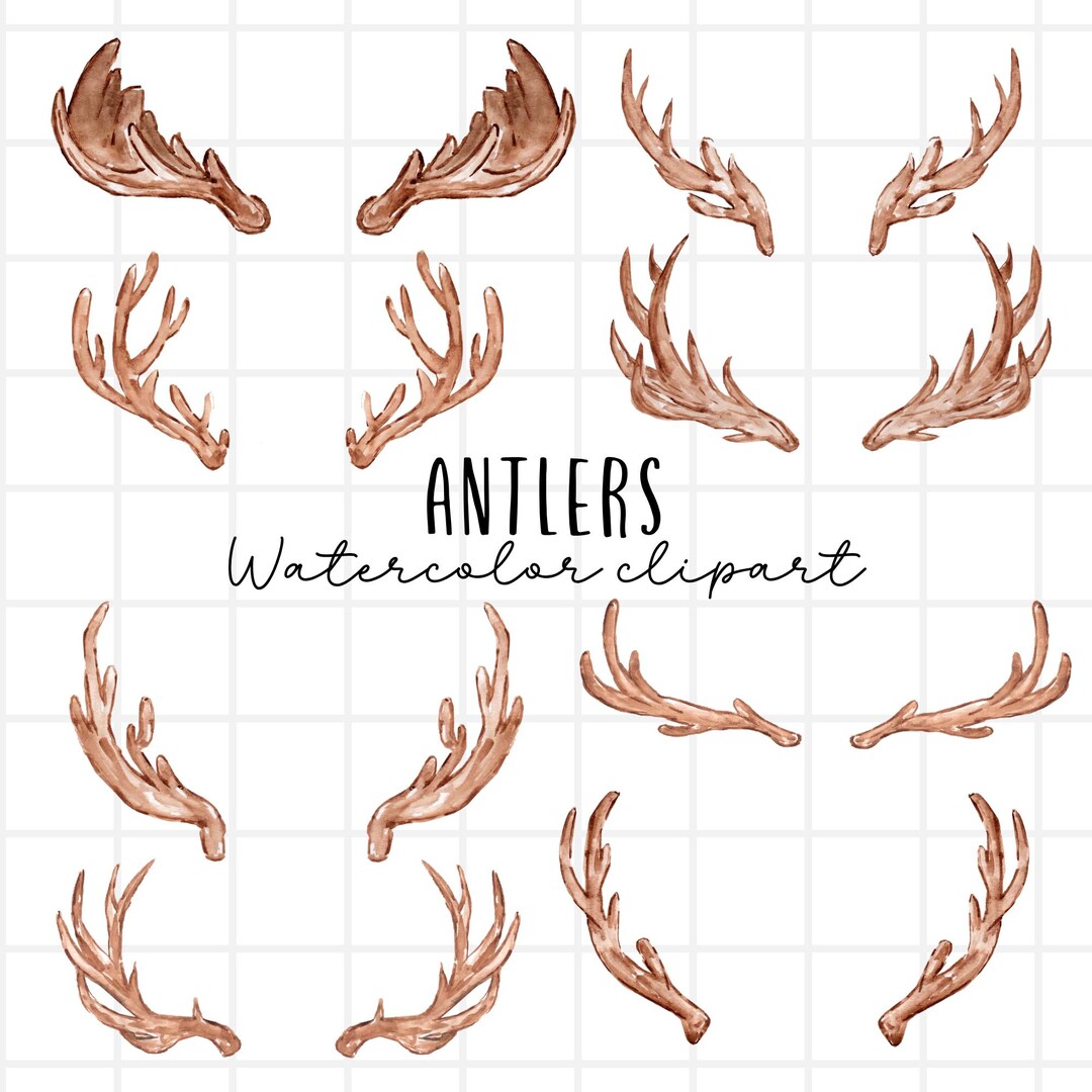 Watercolor Deer Antler Clipart, Hunting, Forest, Animal Graphics ...
