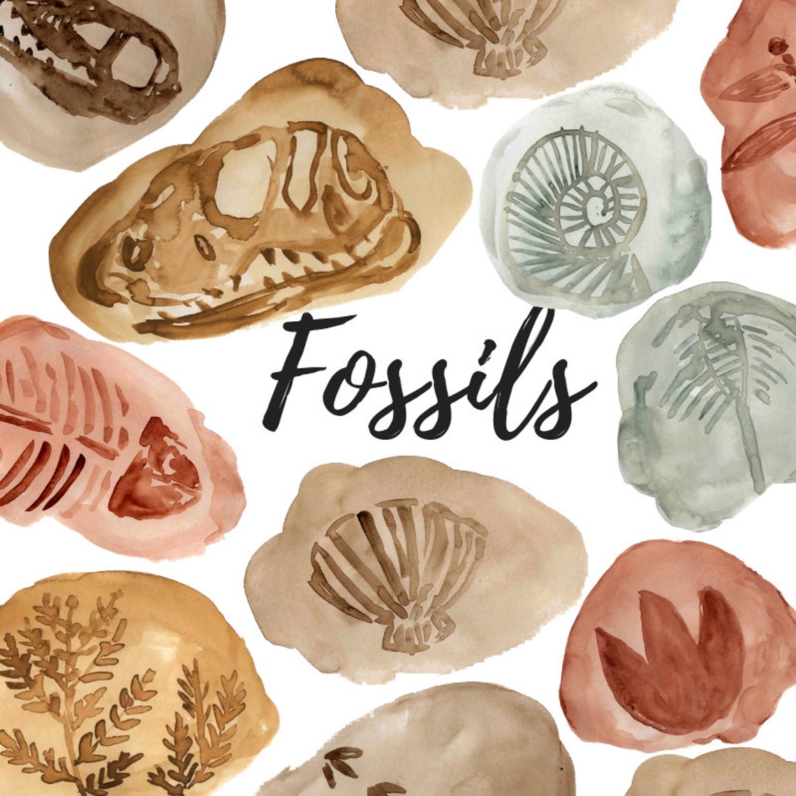 Watercolor Fossil Clipart dinosaur Graphics Animal - Etsy