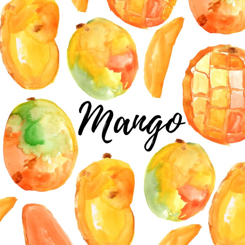 Watercolor Clipart Fruit Graphics Mango Illustration Food - Etsy