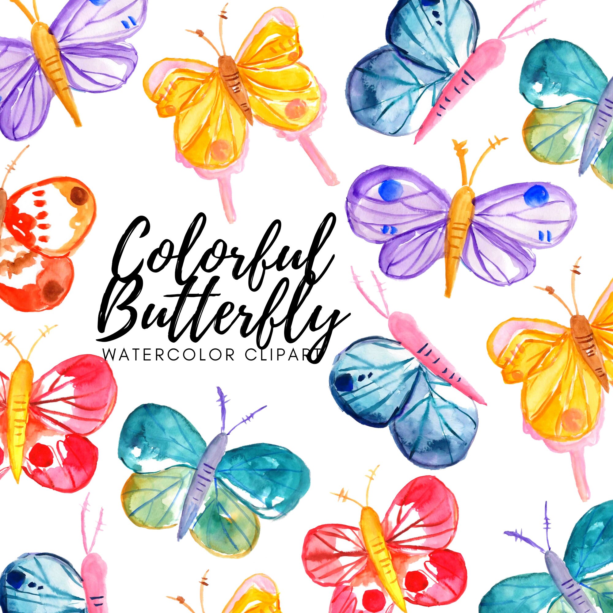 Watercolor Butterfly Clip Art Animal Insect Bug Graphics PNG - Etsy
