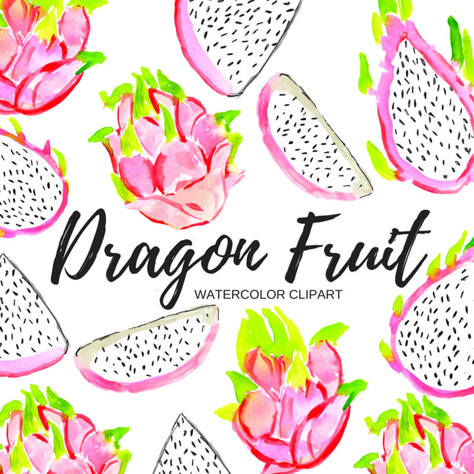 Fruit Clipart Watercolor Cliprt Dragon Fruit Clipart | Etsy