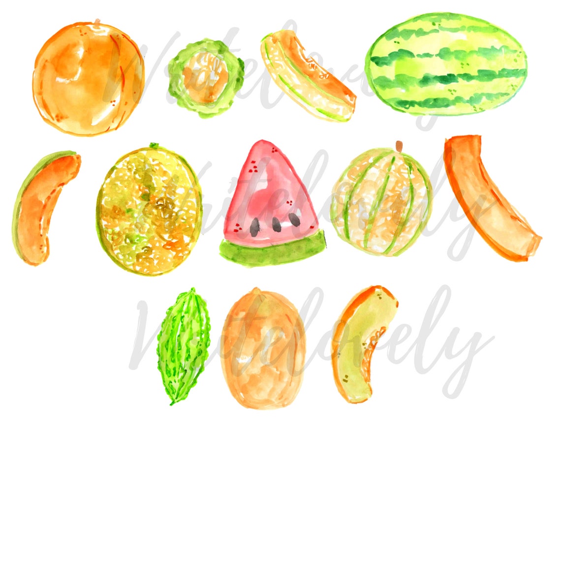 Watercolor Melon Clip Art Fruit Clip Art Food Graphics | Etsy