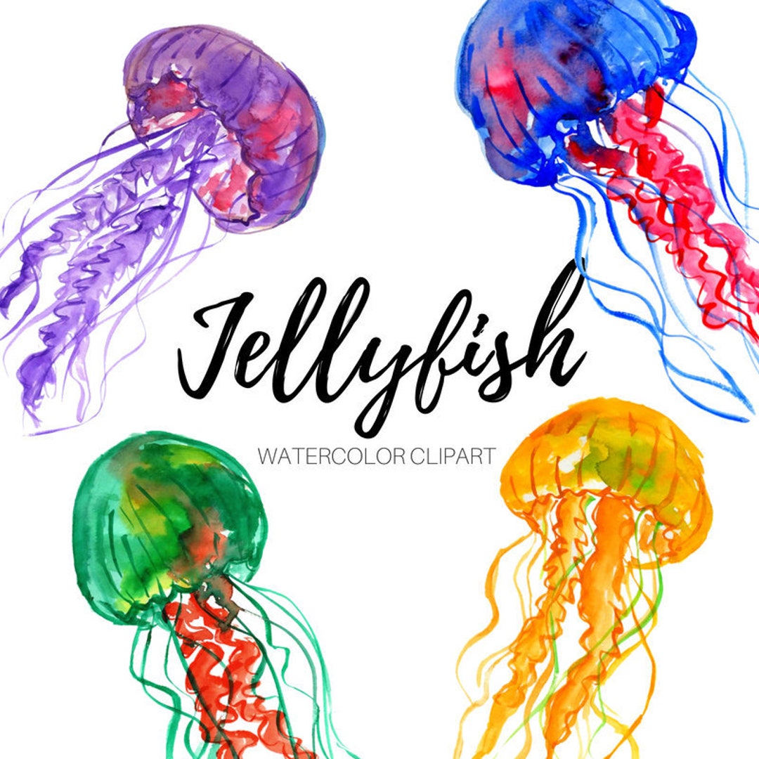 Jellyfish Clipart Animal Clipart Fish Clipart Watercolor Clipart ...