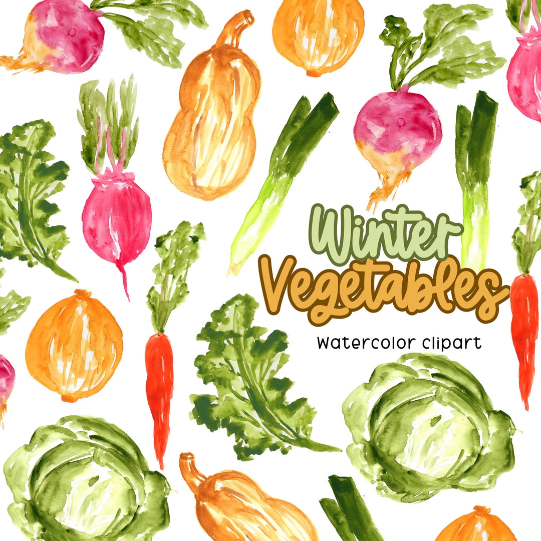 Vegetable Clip Art - Veggie Clip Art - Food Clip Art - Watercolor Clip ...
