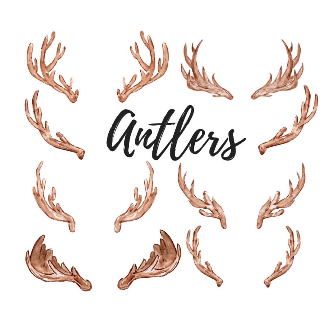 Watercolor Deer Antler Clipart, Hunting, Forest, Animal Graphics ...