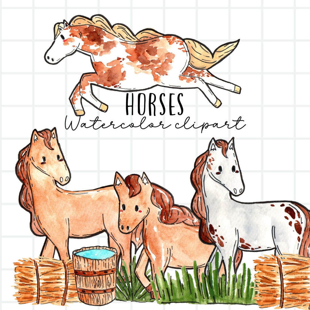 Watercolor Horse Clipart, Baby Horse Farm Animal Graphics Horsing ...