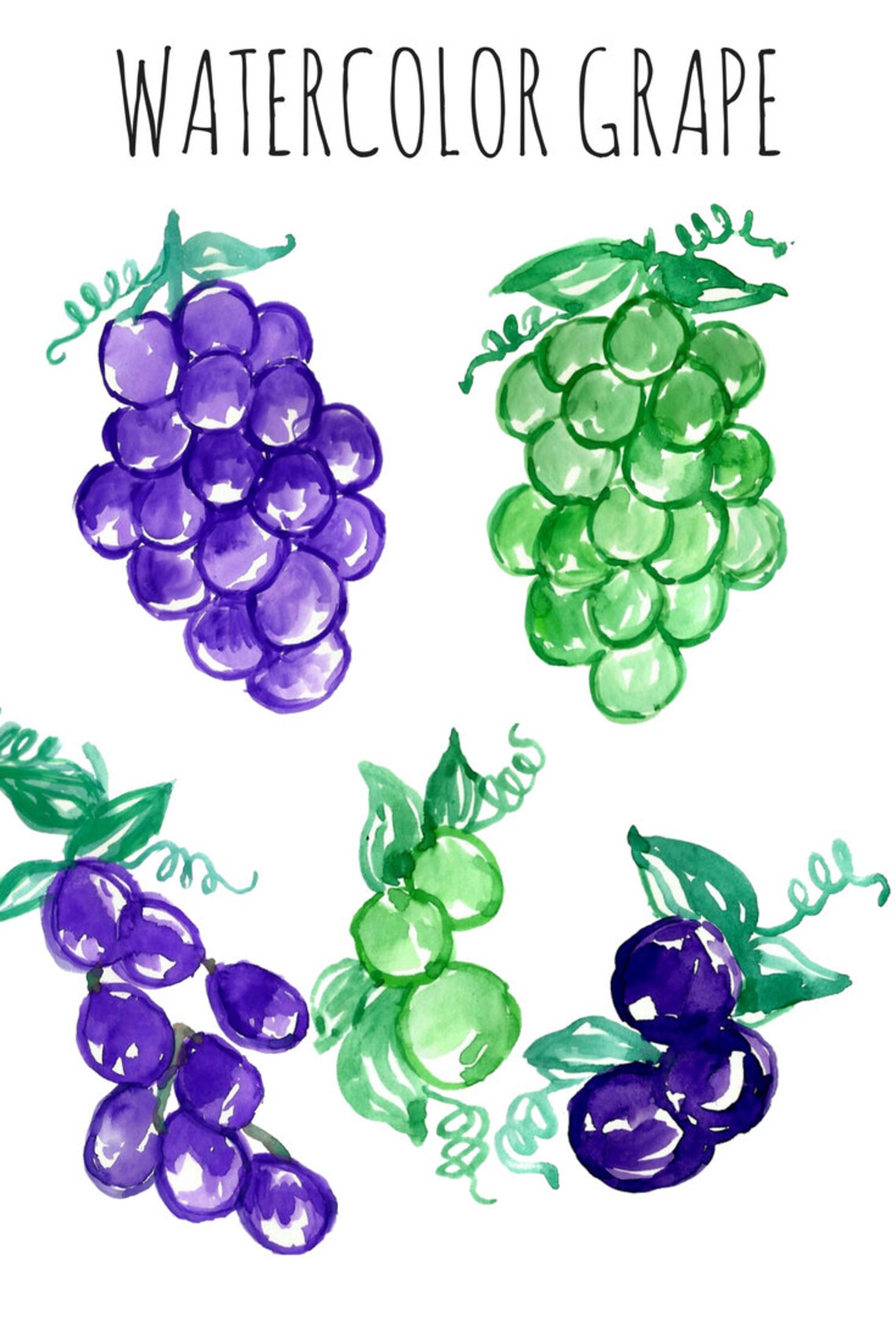 Grape Clip Art Watercolor Fruit Watercolor Art Hand | Etsy