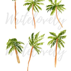 Watercolor Tropical Palm Tree Clipart, Palm Tree Png, Summer Graphics ...
