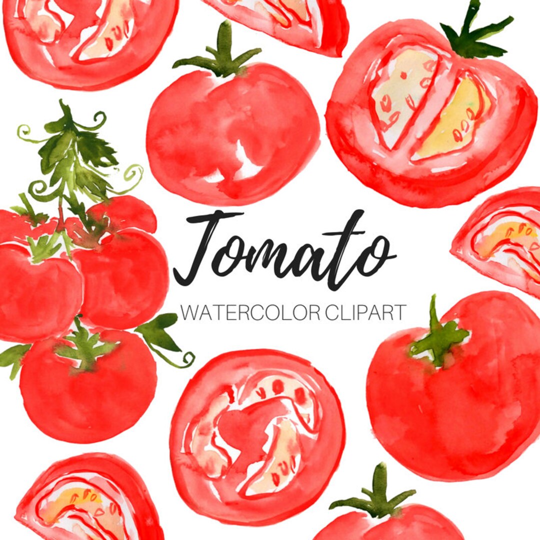 Watercolor Tomato Clipart, Vegetable, Produce,veggie, Gardening ...
